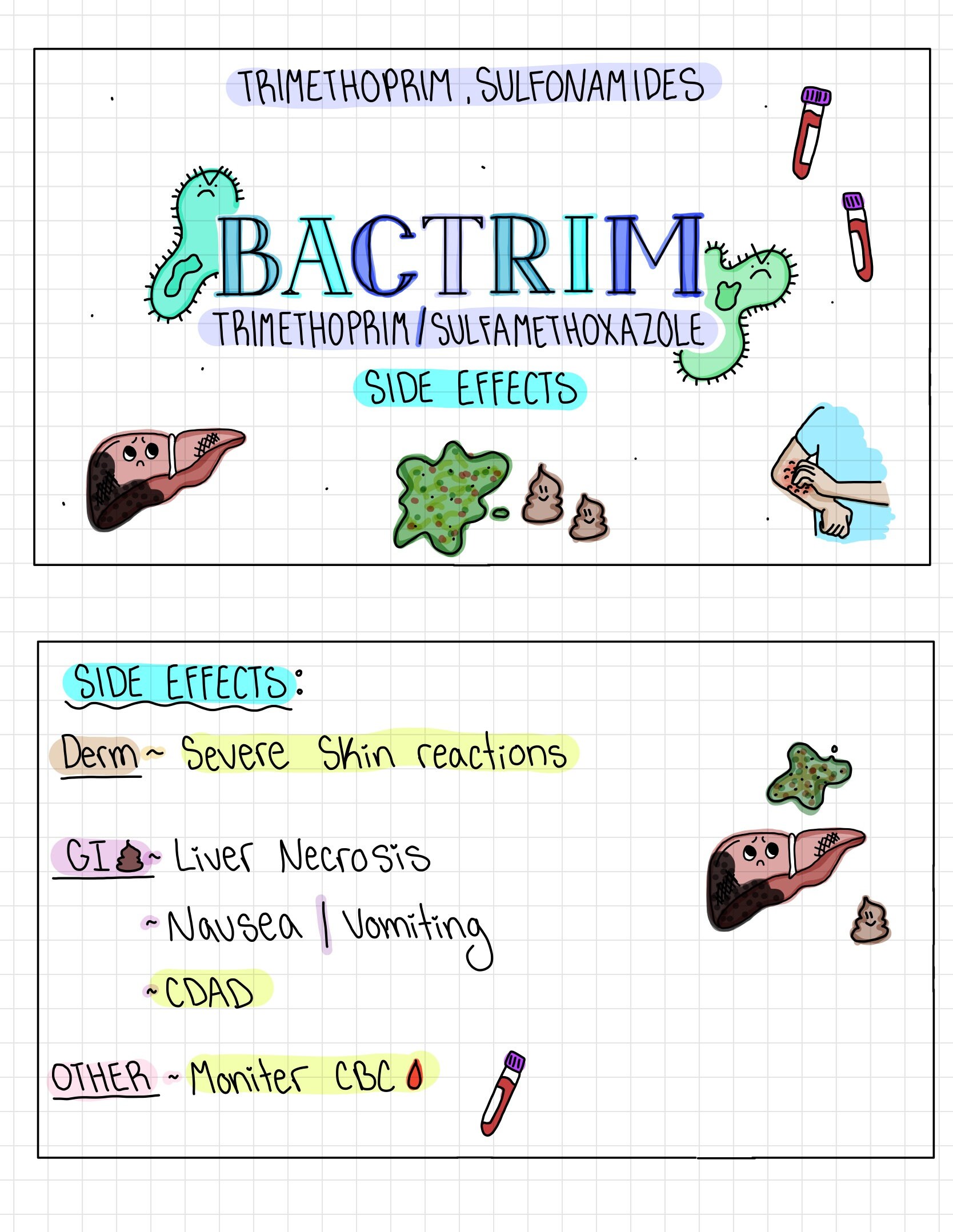 Antibiotic Medication Digital Flash Cards (38 Cards) - Etsy