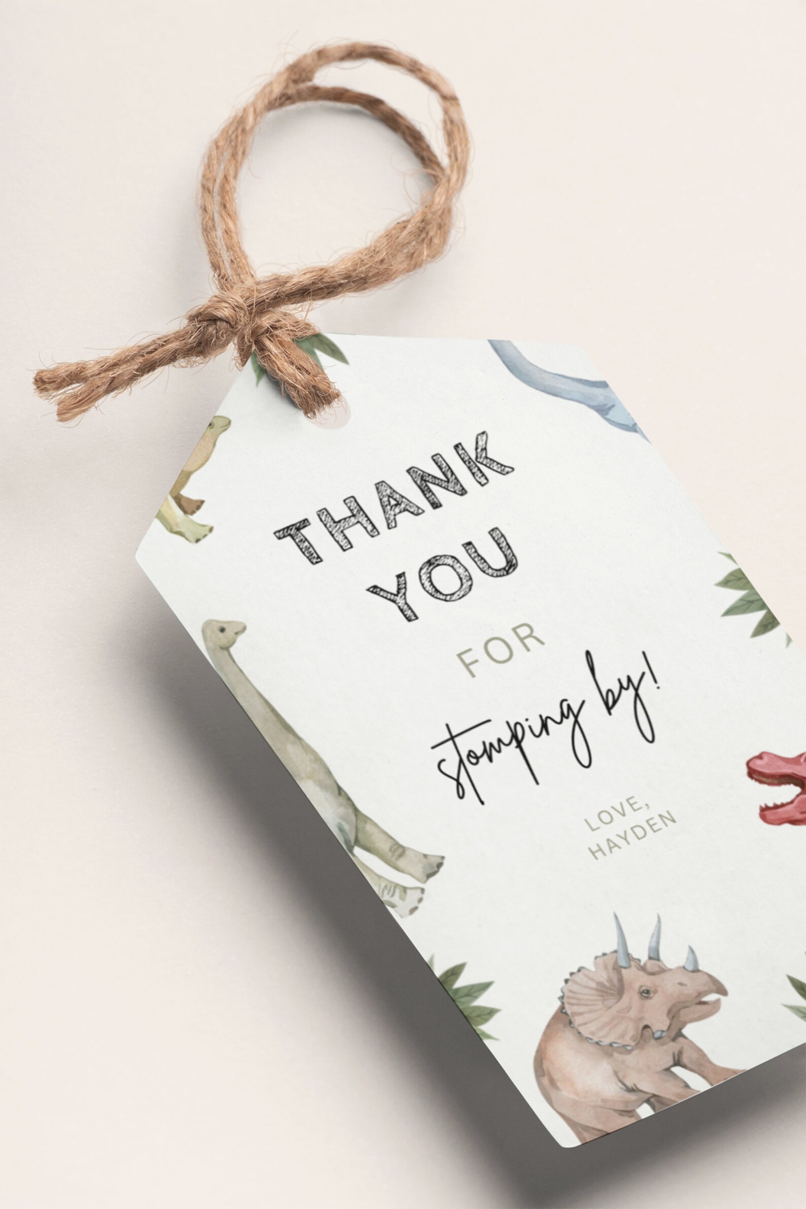 Editable Three Rex Favor Tags | Printable Dinosaur Birthday Party Favor ...