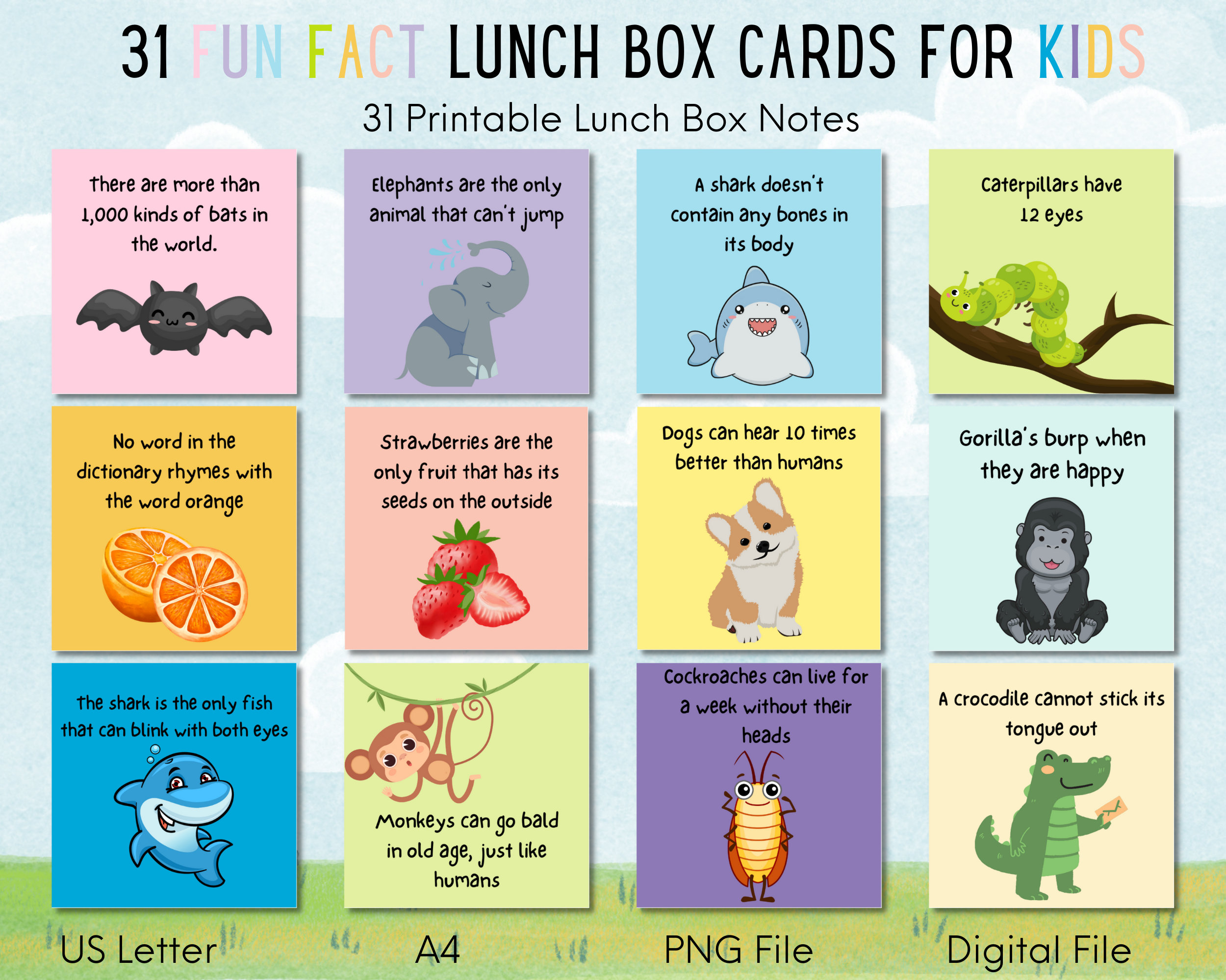 31 Fun Fact Cards for Kids Lunch Boxes, Elementary School Lunch Box ...