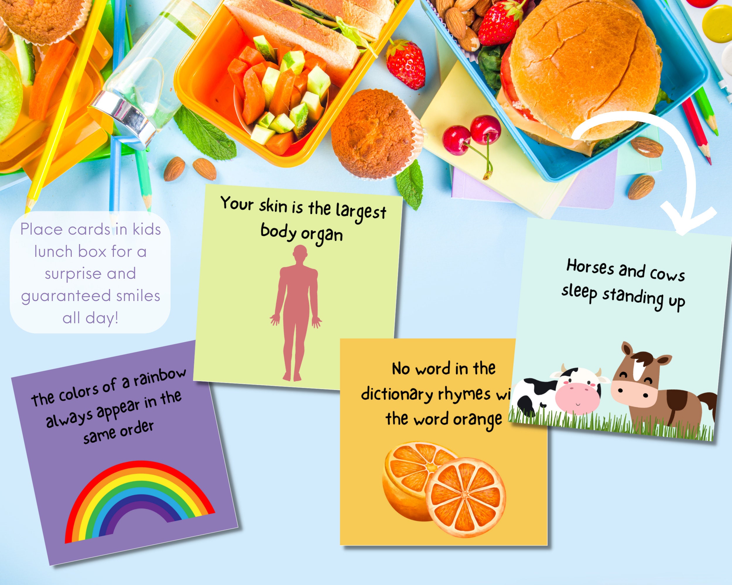 31 Fun Fact Cards for Kids Lunch Boxes, Elementary School Lunch Box ...