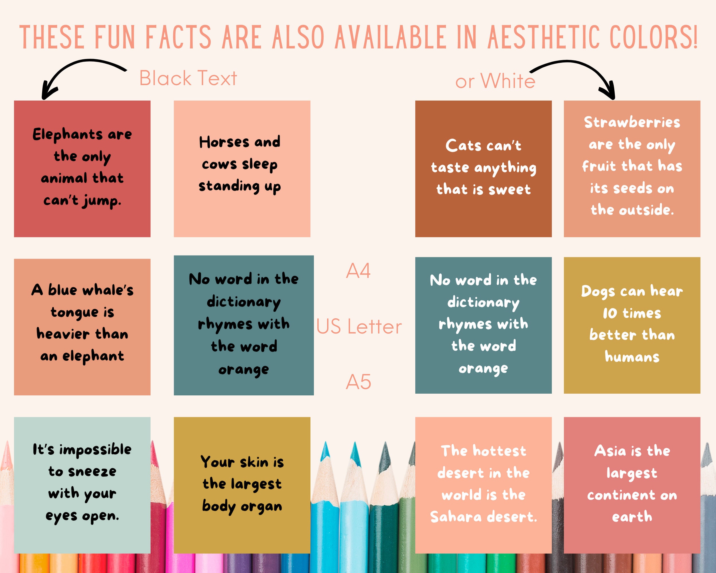 31 Fun Fact Cards for Kids Lunch Boxes, Elementary School Lunch Box ...