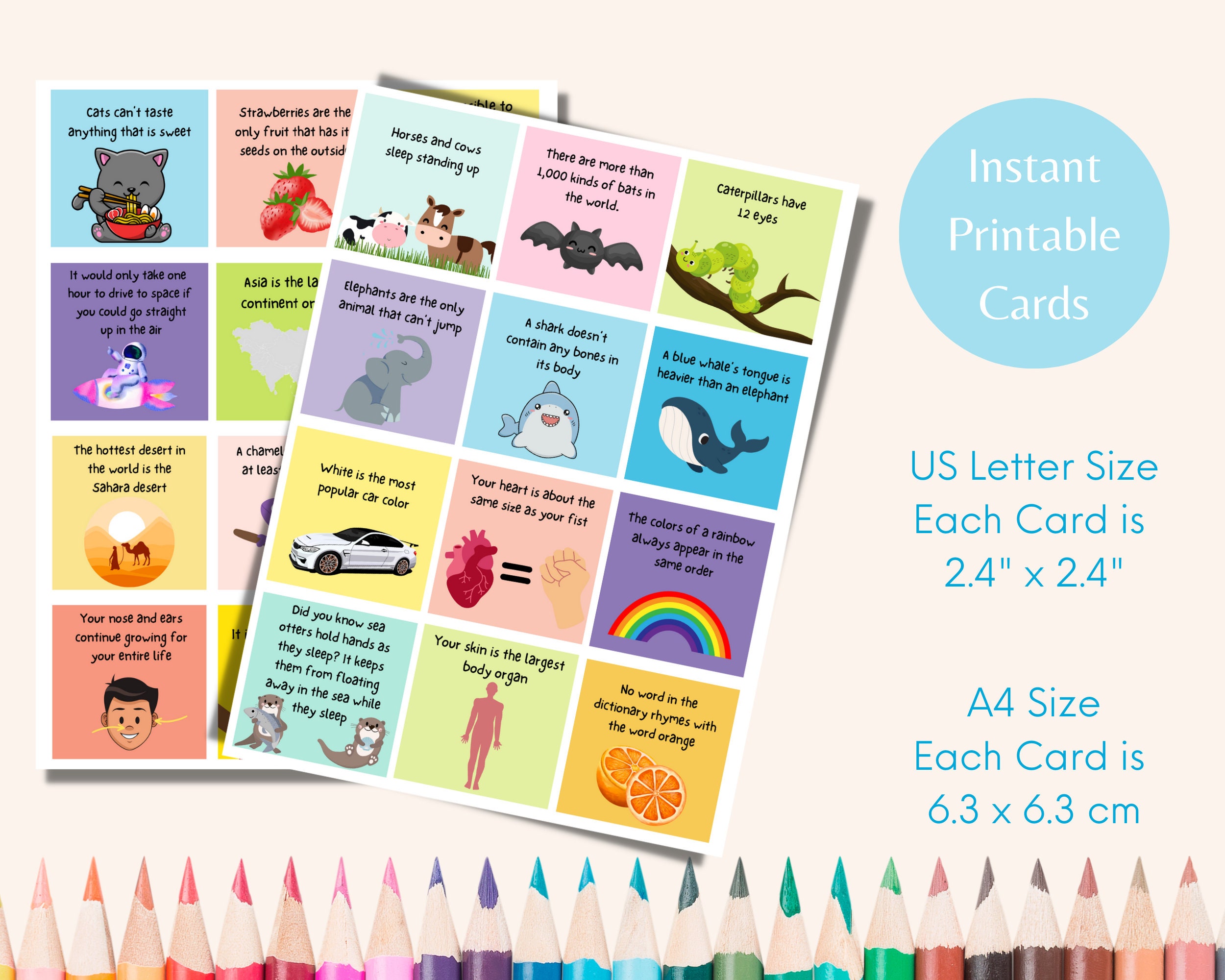 31 Fun Fact Cards for Kids Lunch Boxes, Elementary School Lunch Box ...