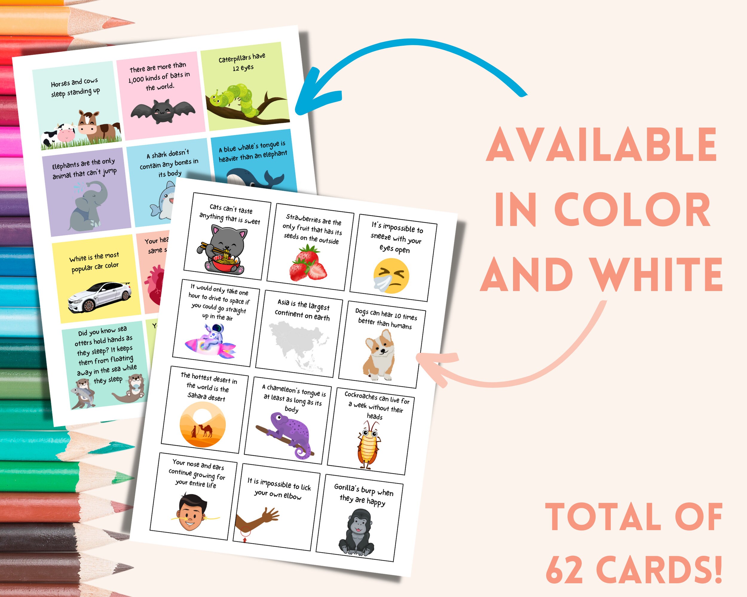 31 Fun Fact Cards for Kids Lunch Boxes, Elementary School Lunch Box ...