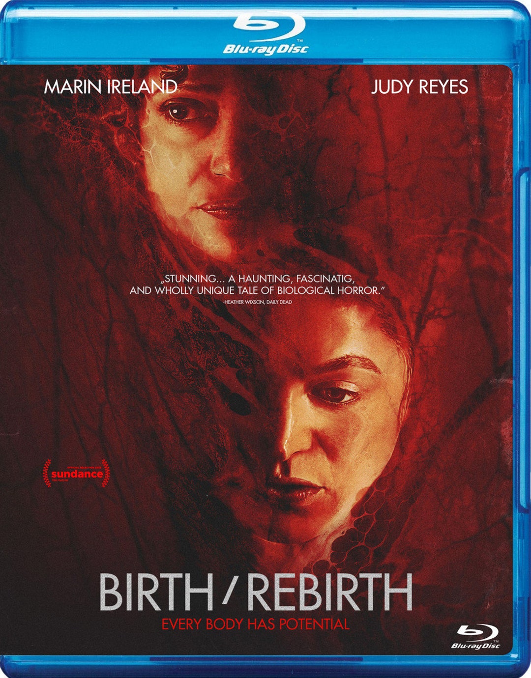 Birth / Rebirth 2023 Blu Ray - Etsy