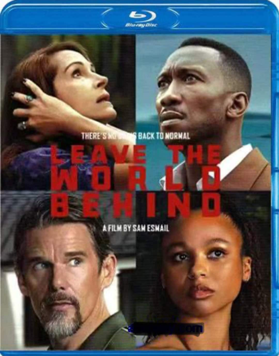 Leave the World Behind 2023 Blu Ray - Etsy