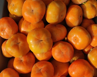 California Fruits - Etsy