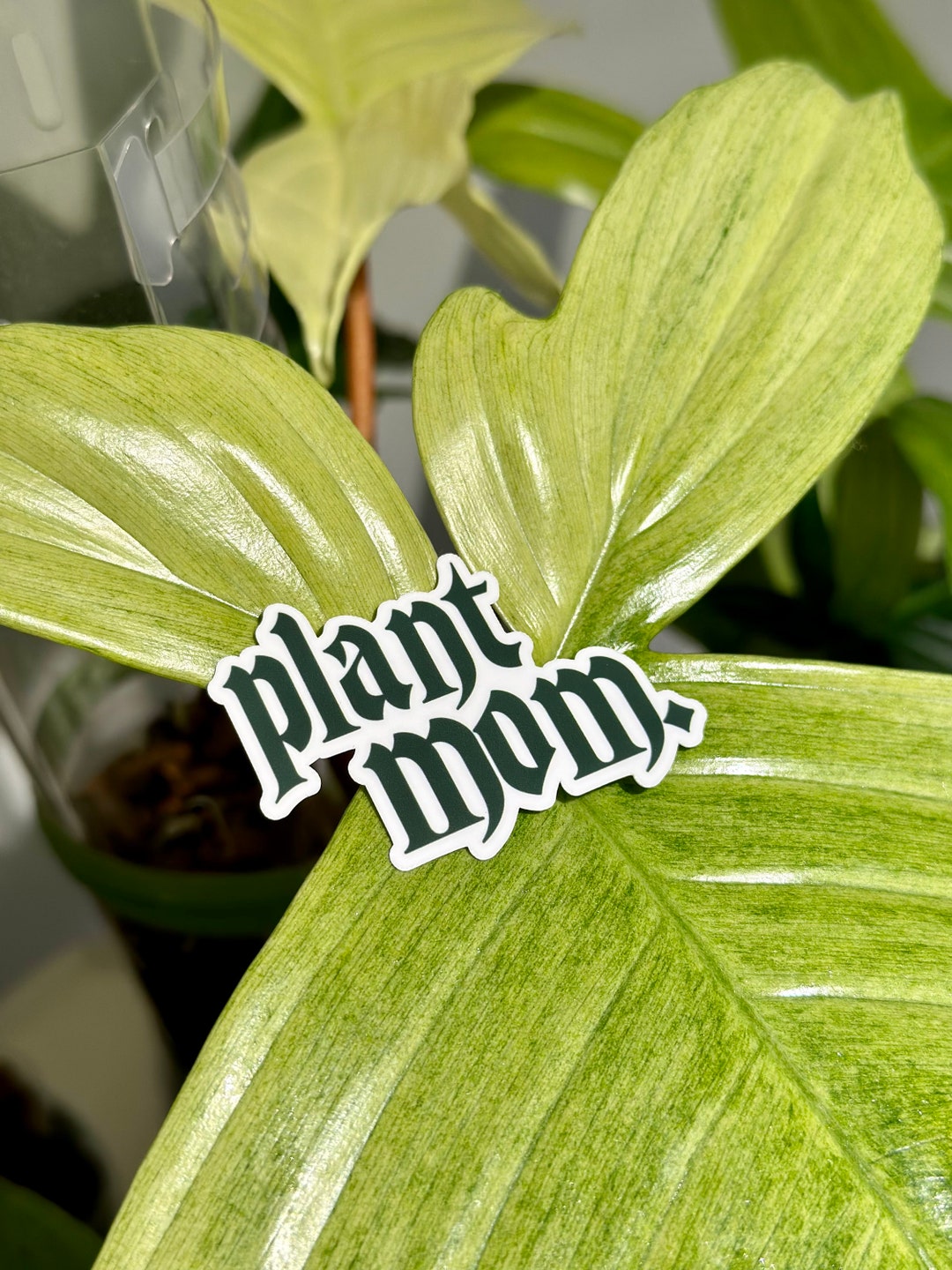 Plant Mom Sticker, Plant Sticker, Sticker, Stickers, Quotes, Laptop ...