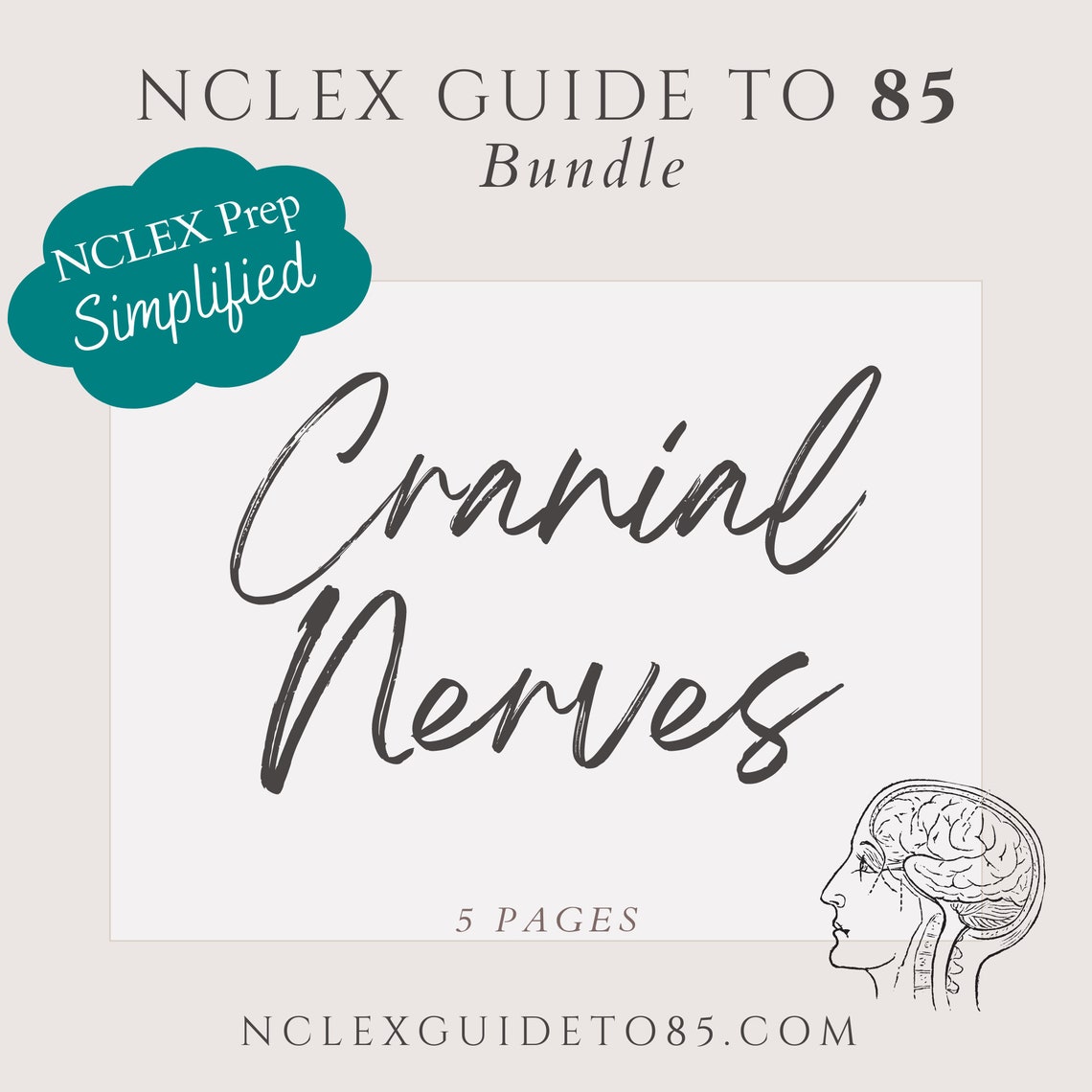 Cranial Nerves Study Guide Nursing Student Study Guide - Etsy