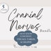 Cranial Nerves Study Guide Nursing Student Study Guide Neuro Study ...