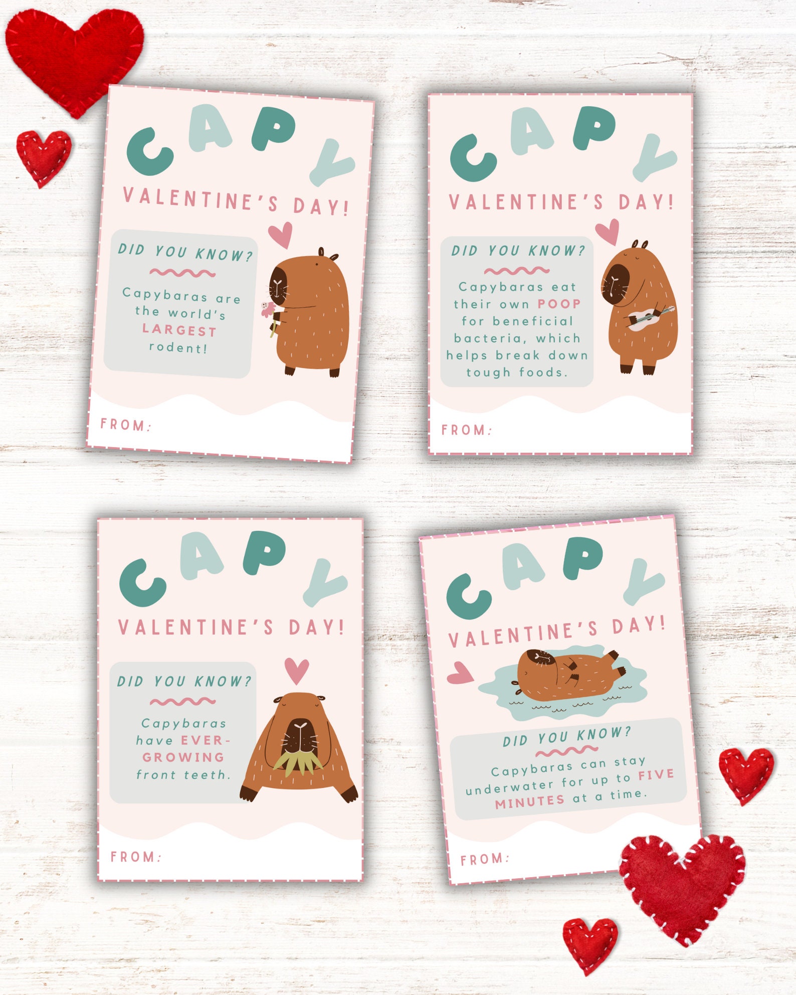 Printable Capybara Facts Valentine's Day Cards | Classroom Valentine's ...