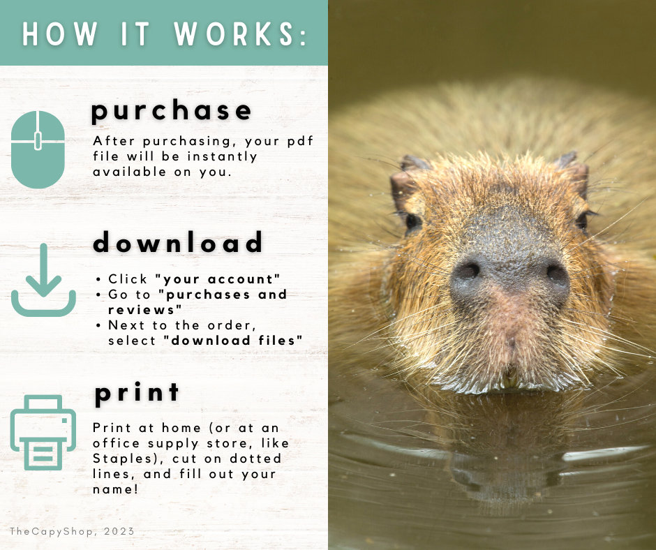Printable Capybara Valentine's Day Cards | Capybara Classroom Valentine ...