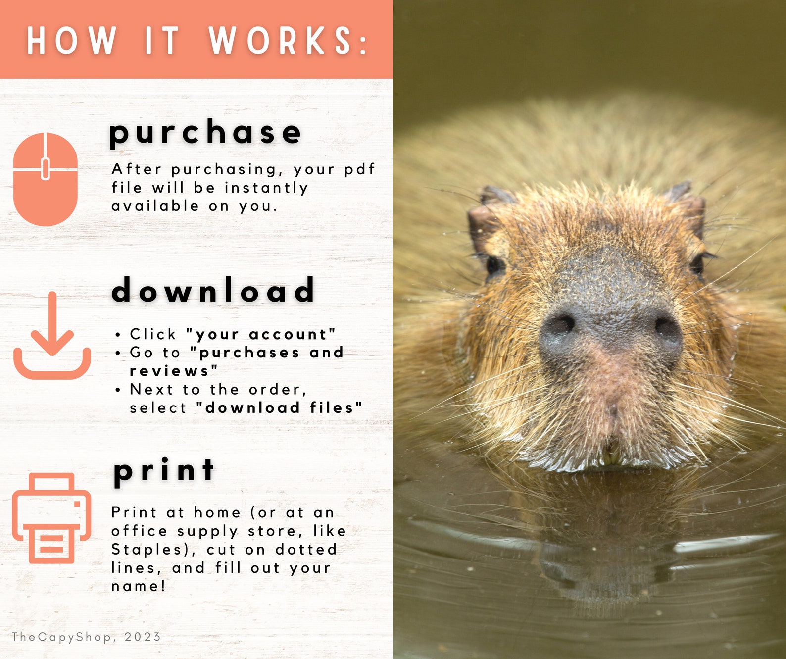 Printable Capybara Valentine's Day Cards | Capybara Classroom Valentine ...