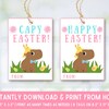 Printable Capybara Valentine's Day Cards Capybara Classroom Valentine's ...