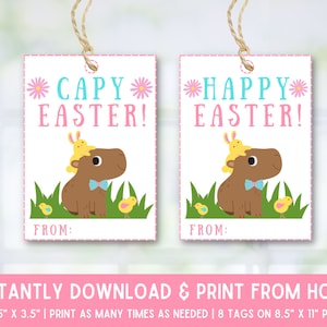 Printable Capybara Valentine's Day Cards Capybara Classroom Valentine's ...