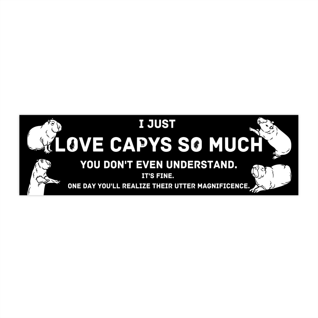 I Love Capybaras Bumper Sticker Funny Capybara Sticker Ok I Pull up ...