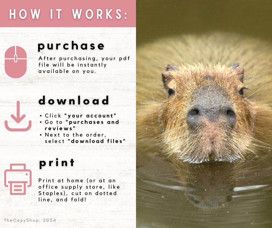 Printable Capybara Facts Valentine's Day Cards Classroom Valentine's ...