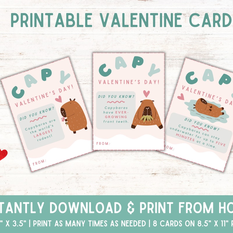 Capybara Valentine - Etsy