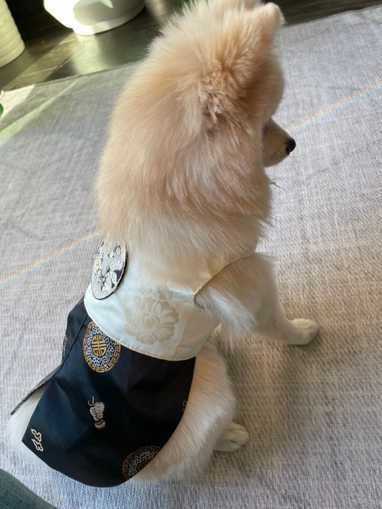 Pet Hanbok Clothing, Dog Clothing, Korean Traditional Hanbok for Pets ...