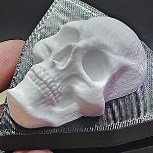 Skull Slot Hubcap | Disc Golf Tire Slot Hubcap | Disc Golf Rim ...