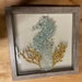 Seahorse Crushed Glass Beach Themed Shadow Box - Etsy