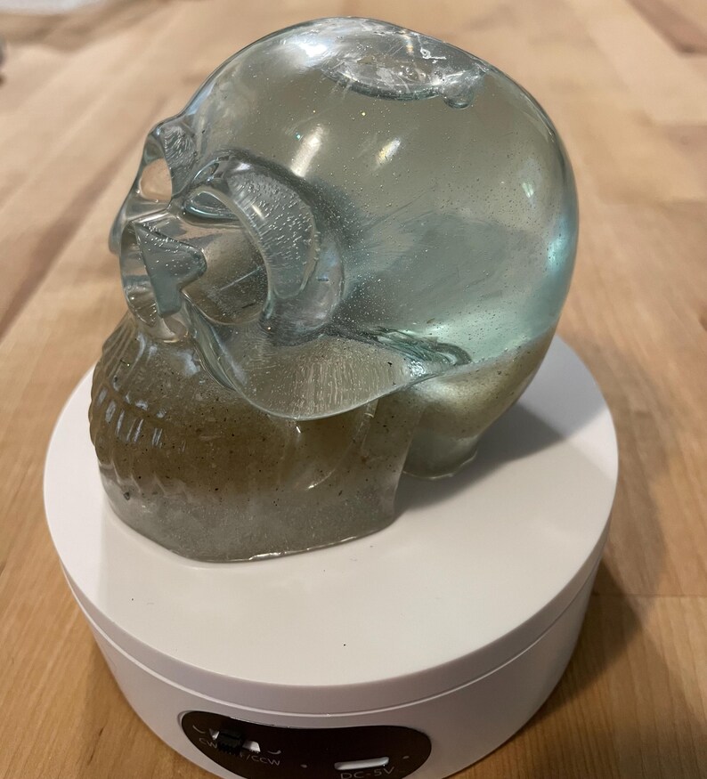 Beach Resin Shaker Skull, Seashell Halloween Decor - Etsy