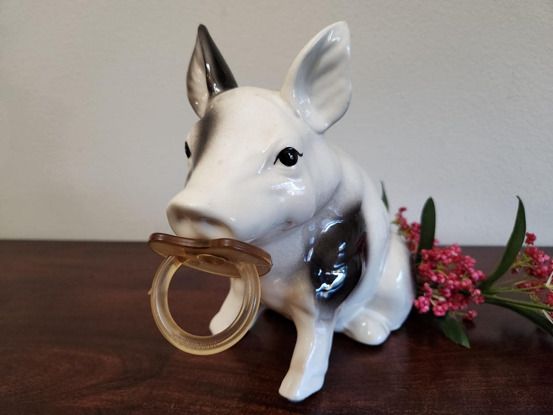 Vintage 1970s Young's Ceramic Piglet Coin Bank With Pacifier - Etsy