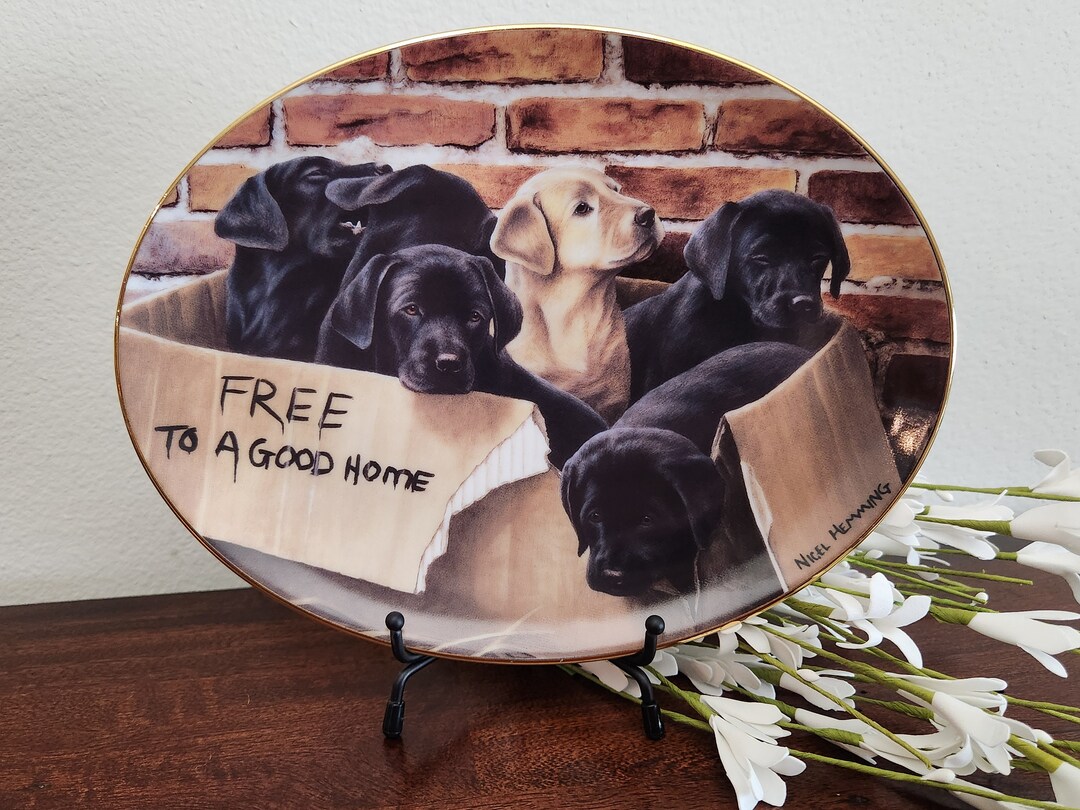 Franklin Mint Labrador Puppies Plate: Limited Edition Signed Porcelain ...