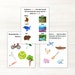 Pre-k Science Worksheets, Preschool Learning Printable, Pre-k ...