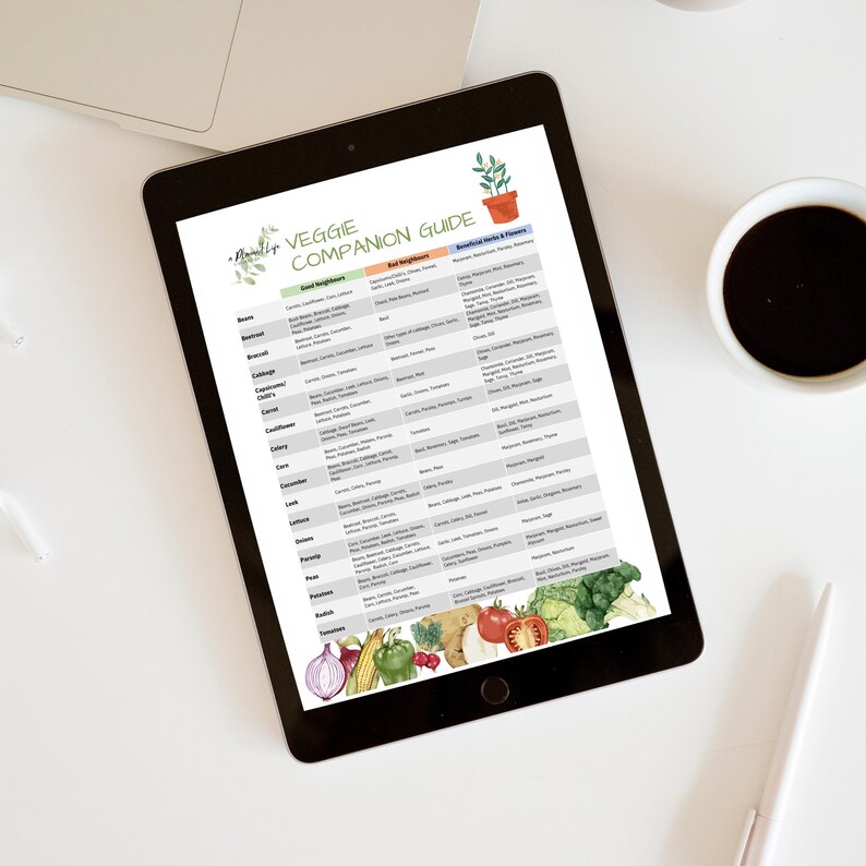 Vegetable Companion Grow Guide, Companion Plants, Garden Planner ...