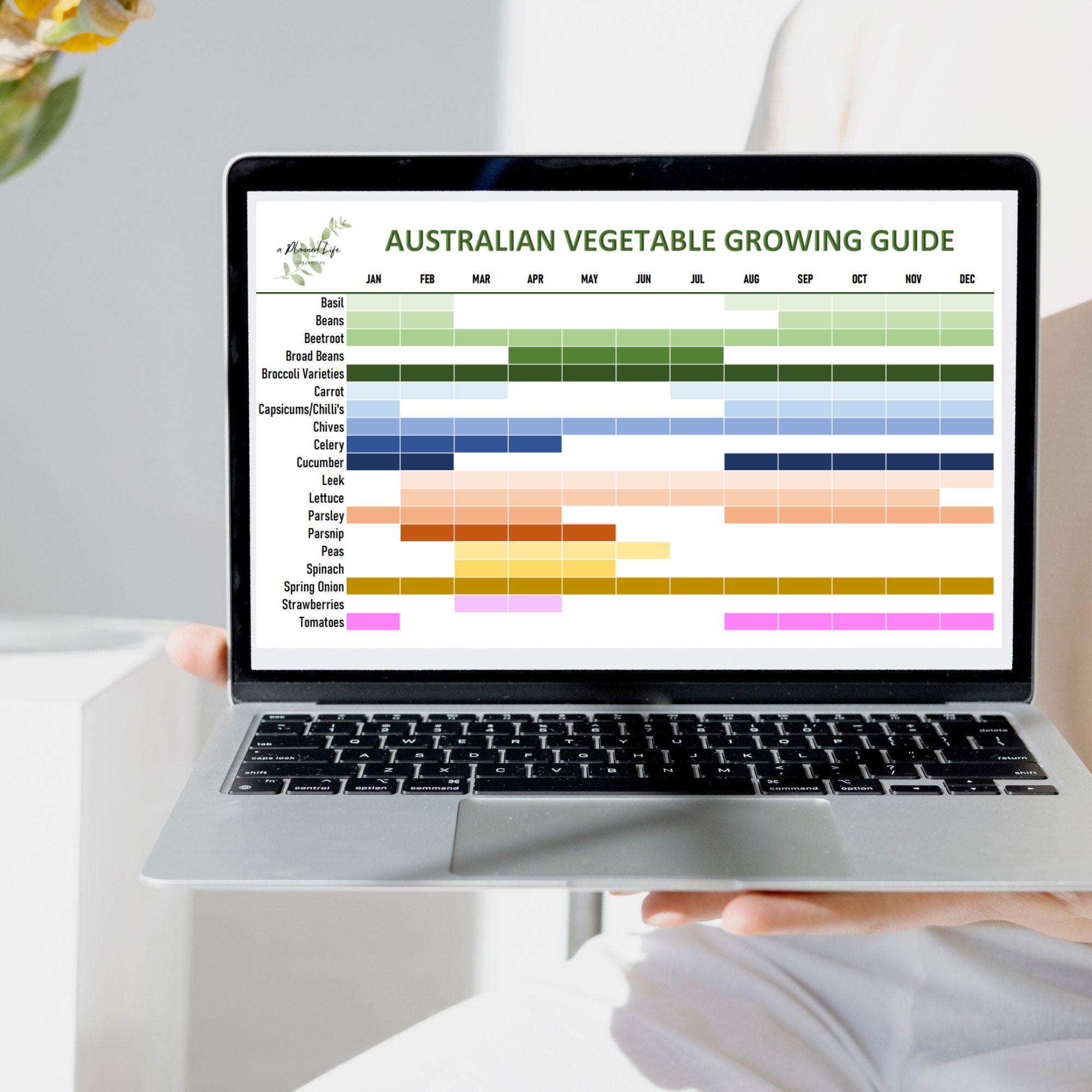 Australian Vegetable Growing Guide, Planting Calendar, Vegetable ...