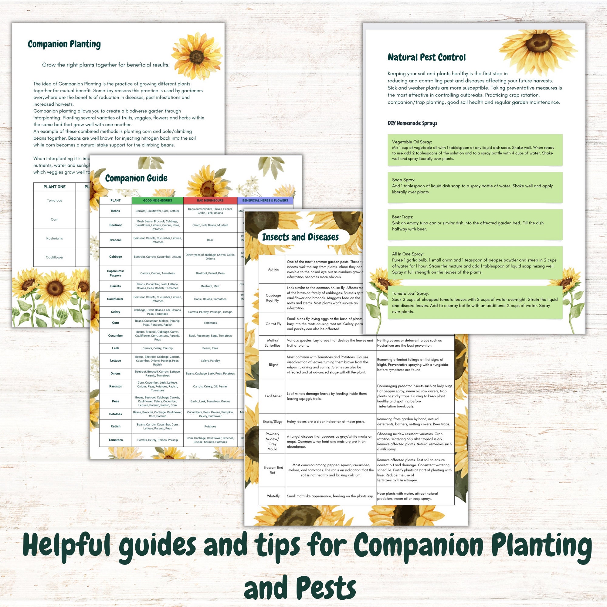 Beginners Garden Planner Companion Planting Planner Pages - Etsy