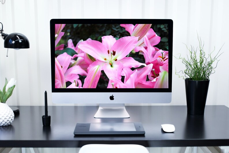 Instant Download, Pink Lillies, Flowers, Calming Wall Art, Home Decor ...