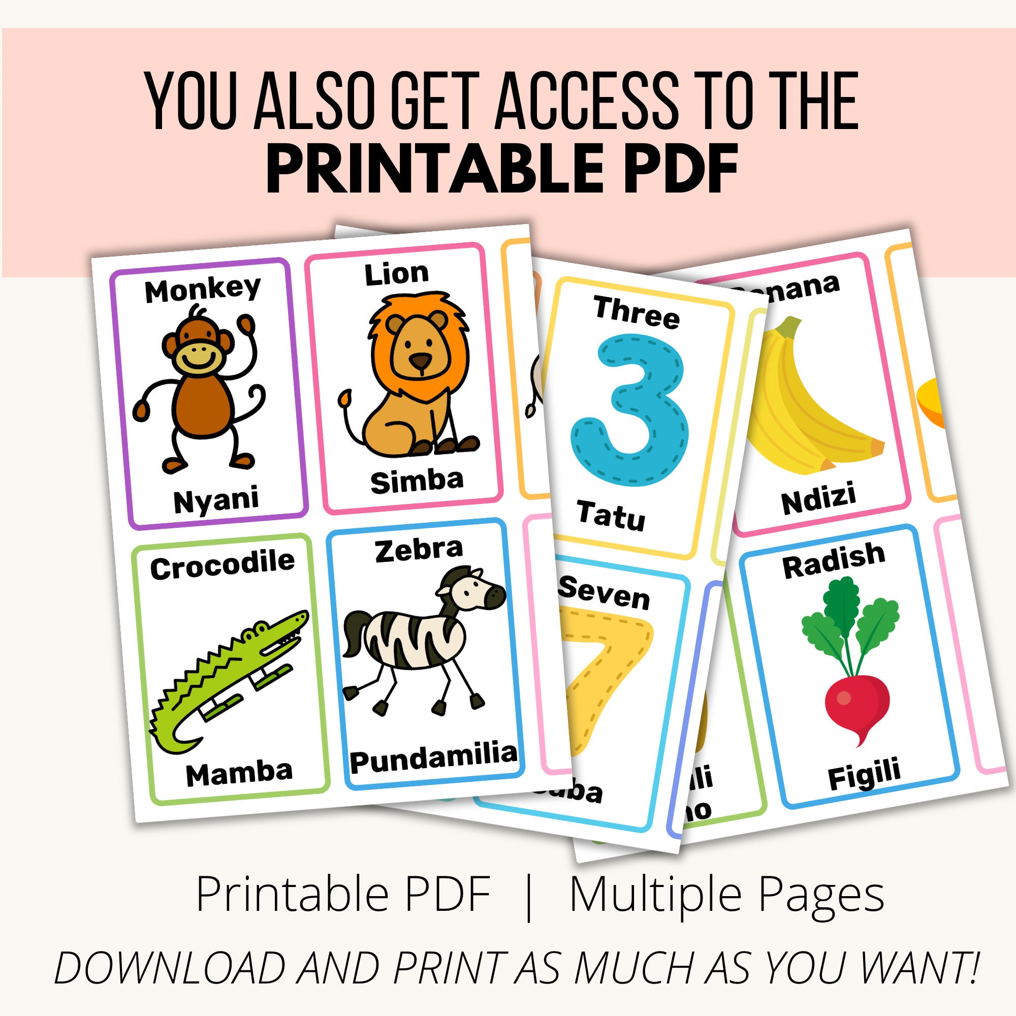 English & Swahili Flashcards All Access Bundle - Etsy