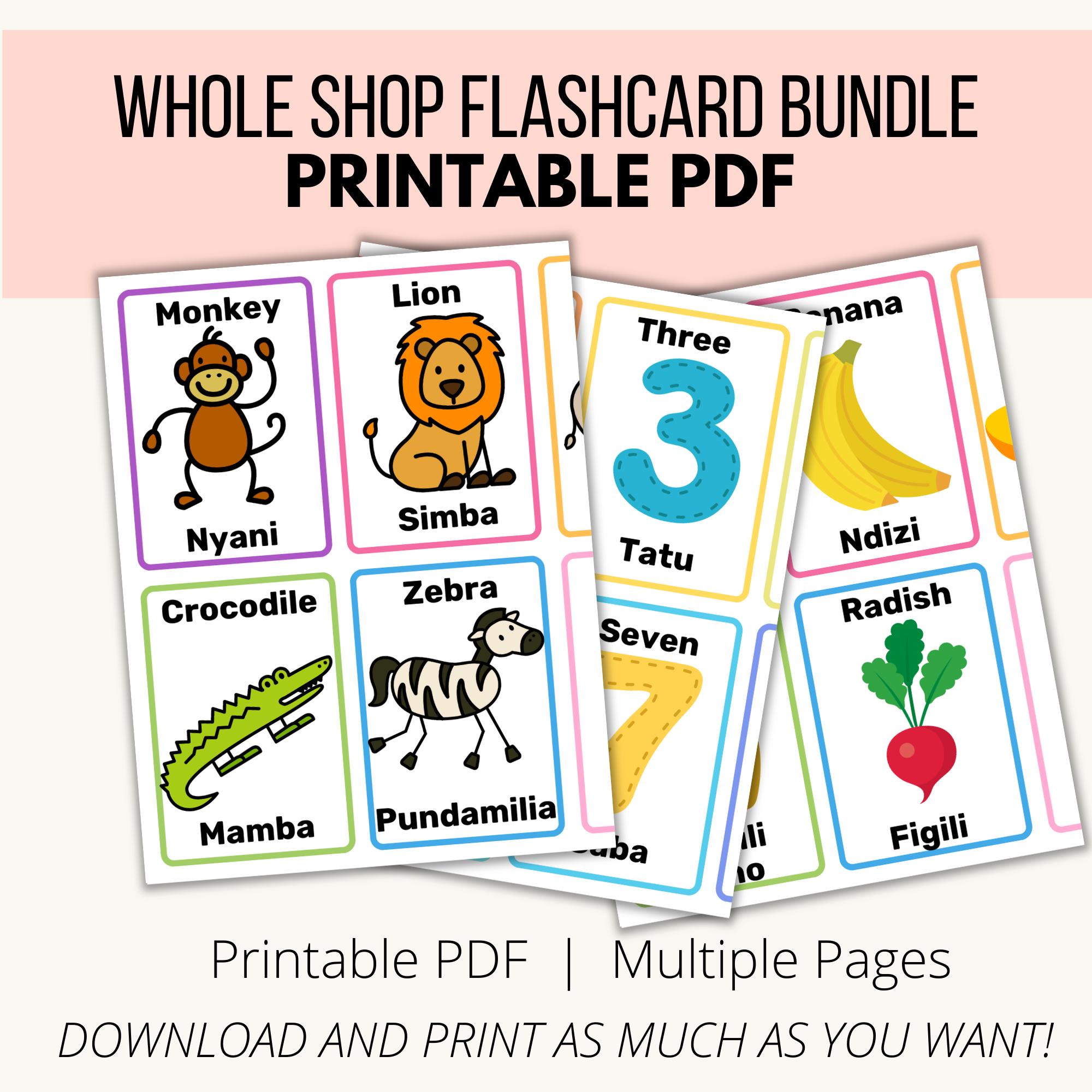 Whole Shop Flashcards Bundle, English & Swahili, Bilingual ...