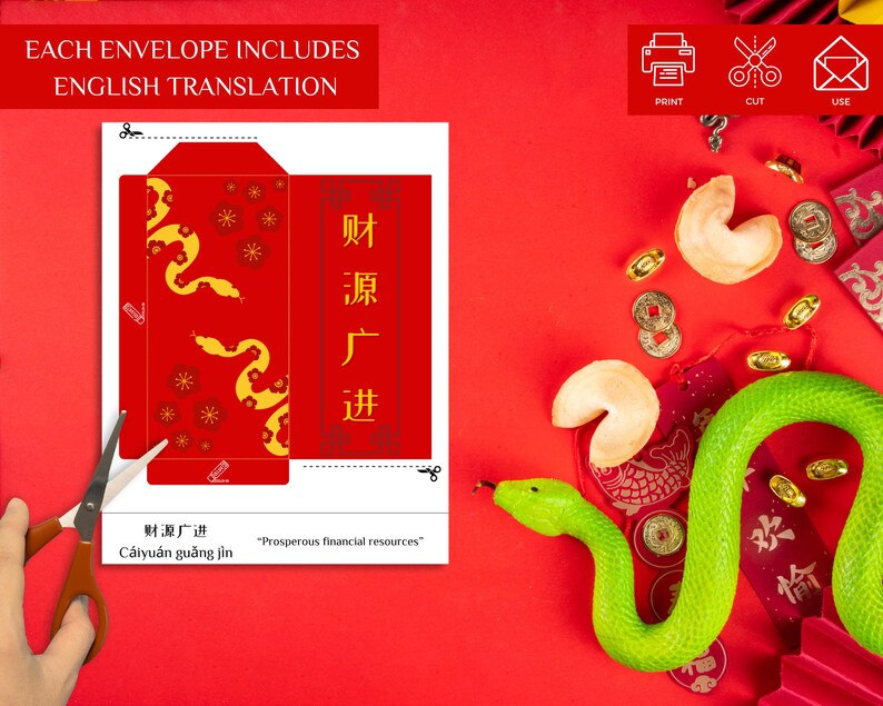 Year of the Snake Red Envelope Set | Lunar New Year 2025 Money ...