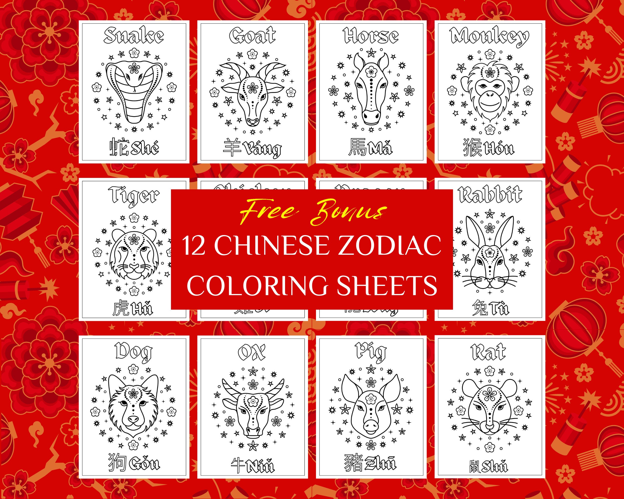 Year of the Dragon Red Envelope Set Chinese New Year 2024 Money ...