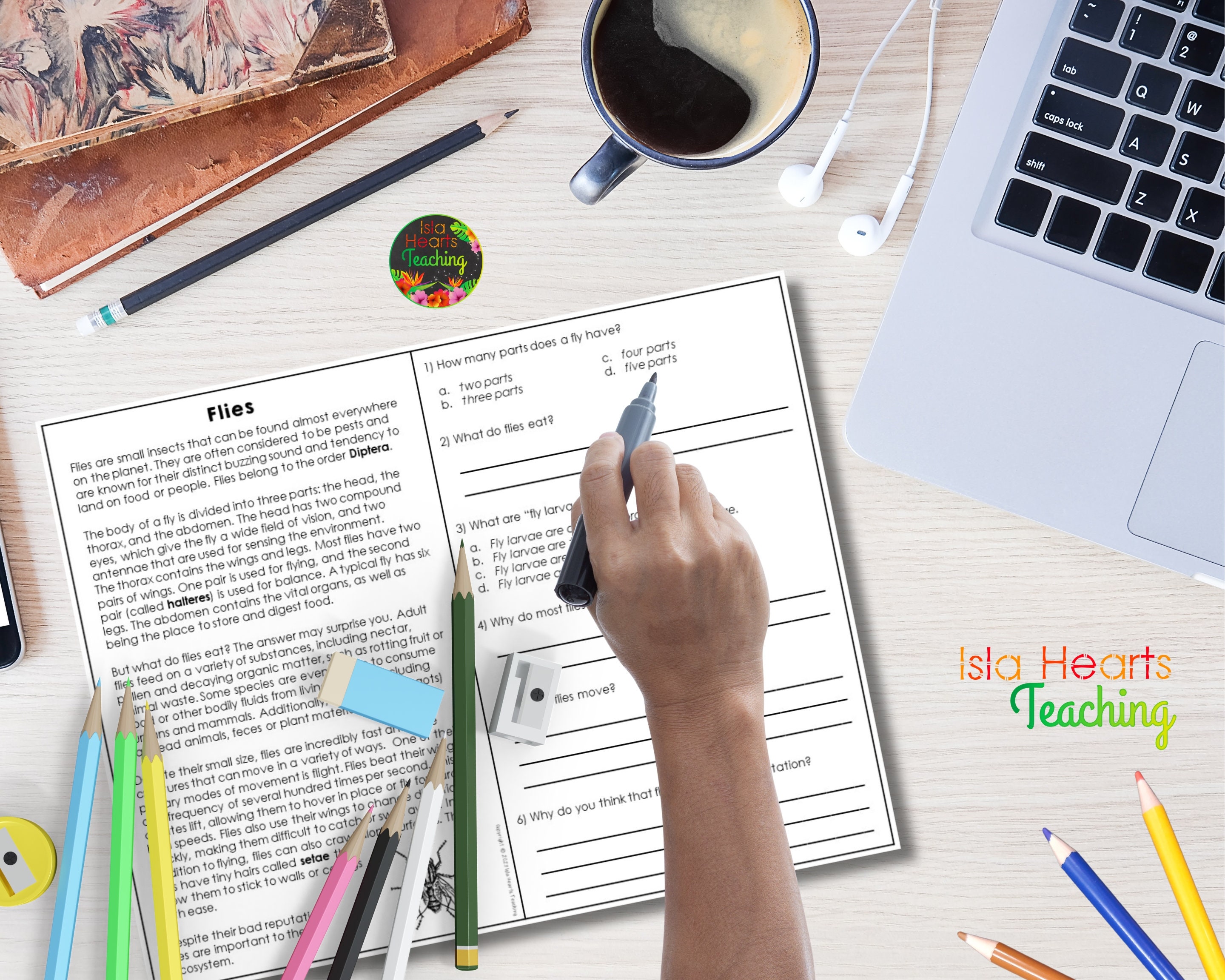 Nonfiction Reading Comprehension Passages and Questions About Insects ...