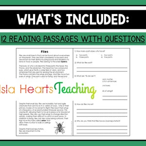 Nonfiction Reading Comprehension Passages and Questions About Insects ...