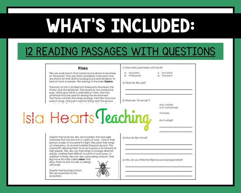 Nonfiction Reading Comprehension Passages and Questions About Insects ...