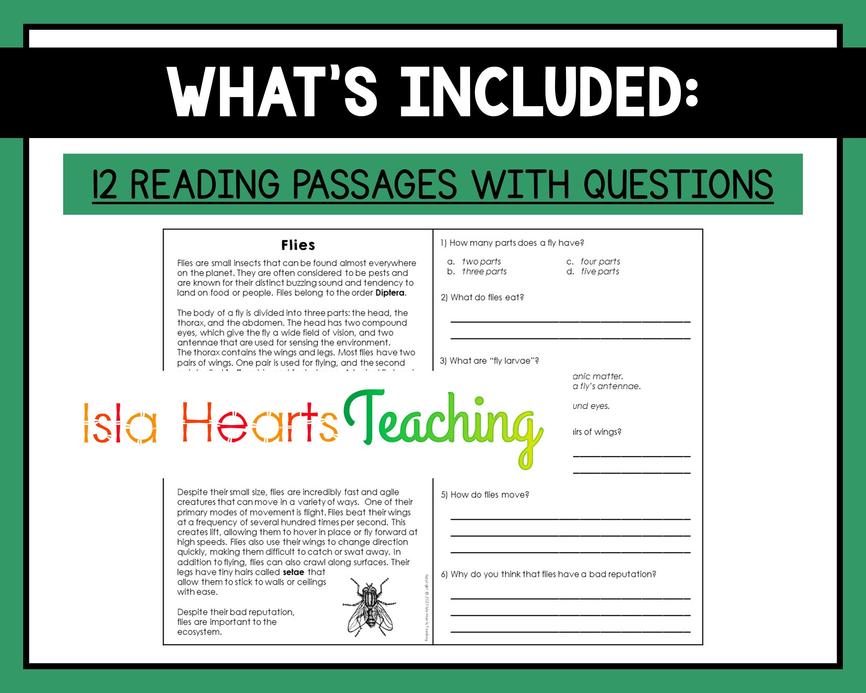 Nonfiction Reading Comprehension Passages and Questions About Insects ...