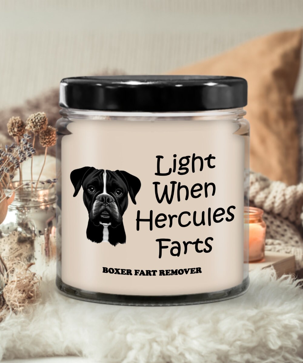 Boxer Candle, Boxer Dog Candle, Fart Smell Remover Candle, Light Me ...