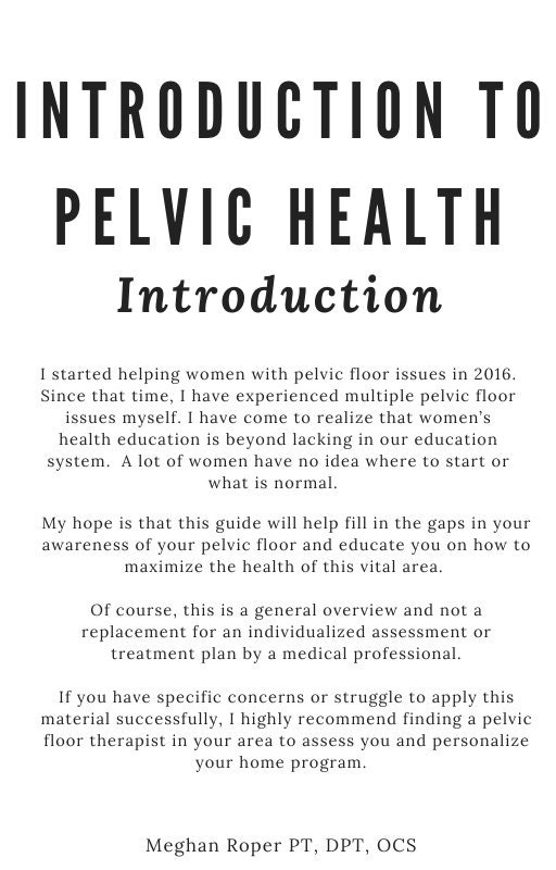 PELVIC FLOOR GUIDE; Improve Awareness of Your Pelvic Floor, Diet and ...