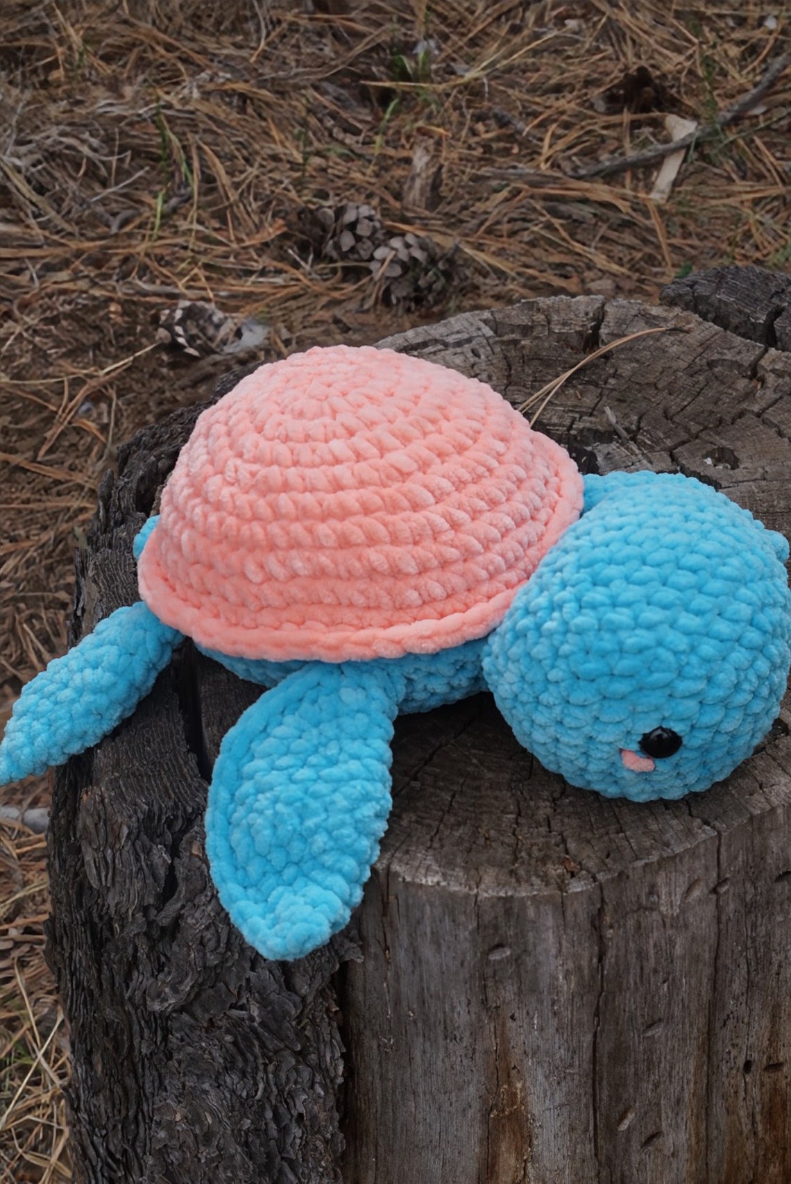 Finn the Turtle Plushie - Etsy
