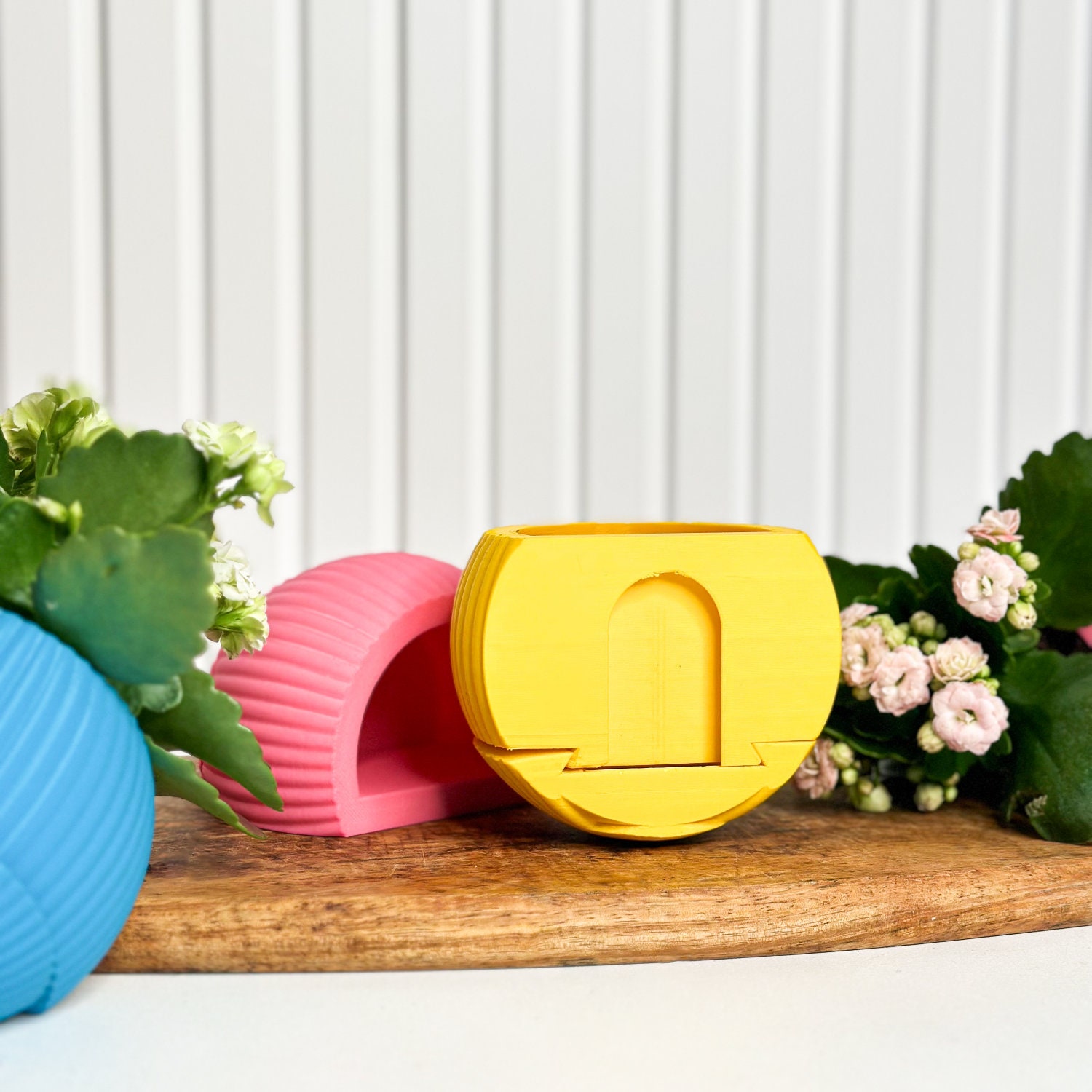 Colourful Sphere Shape Mini Wall Planter Spherical Shape Hanging ...