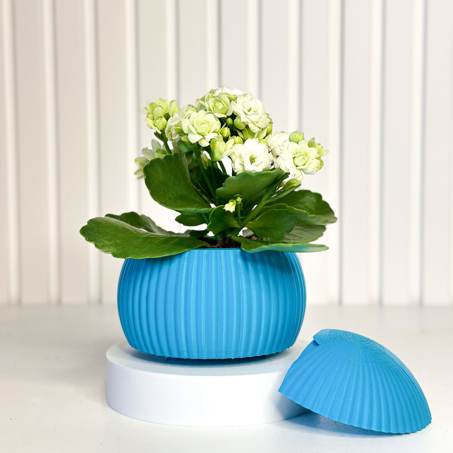 Colourful Sphere Shape Mini Wall Planter Spherical Shape Hanging ...