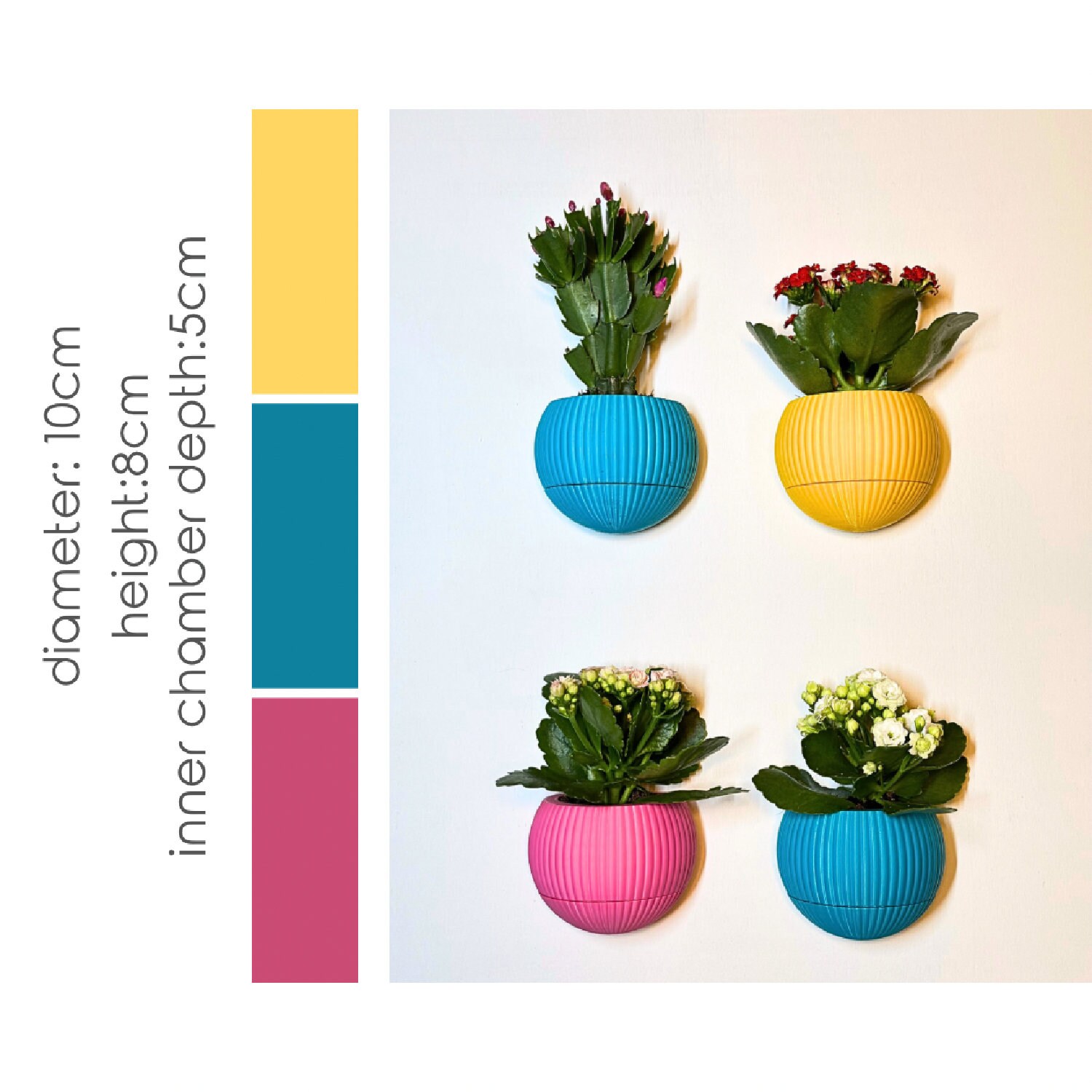 Colourful Sphere Shape Mini Wall Planter Spherical Shape Hanging ...