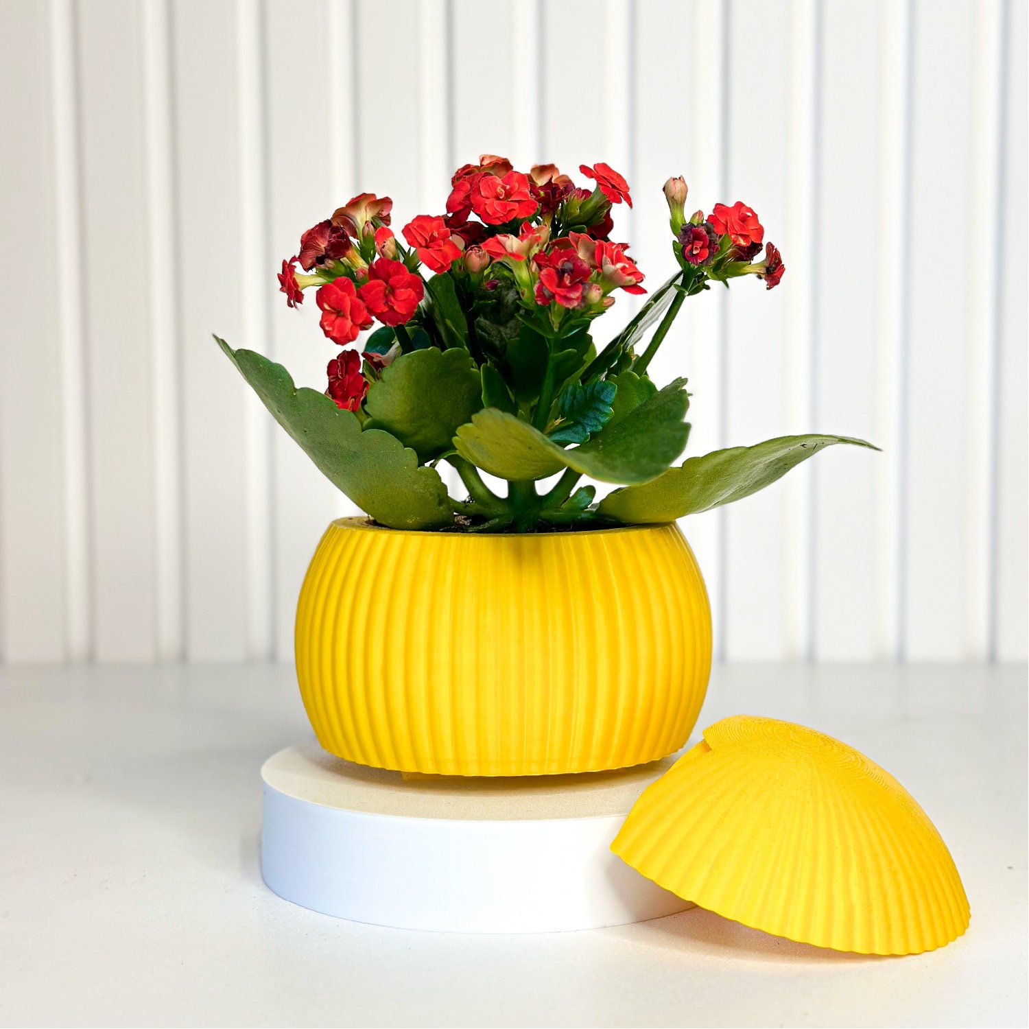 Colourful Sphere Shape Mini Wall Planter Spherical Shape Hanging ...