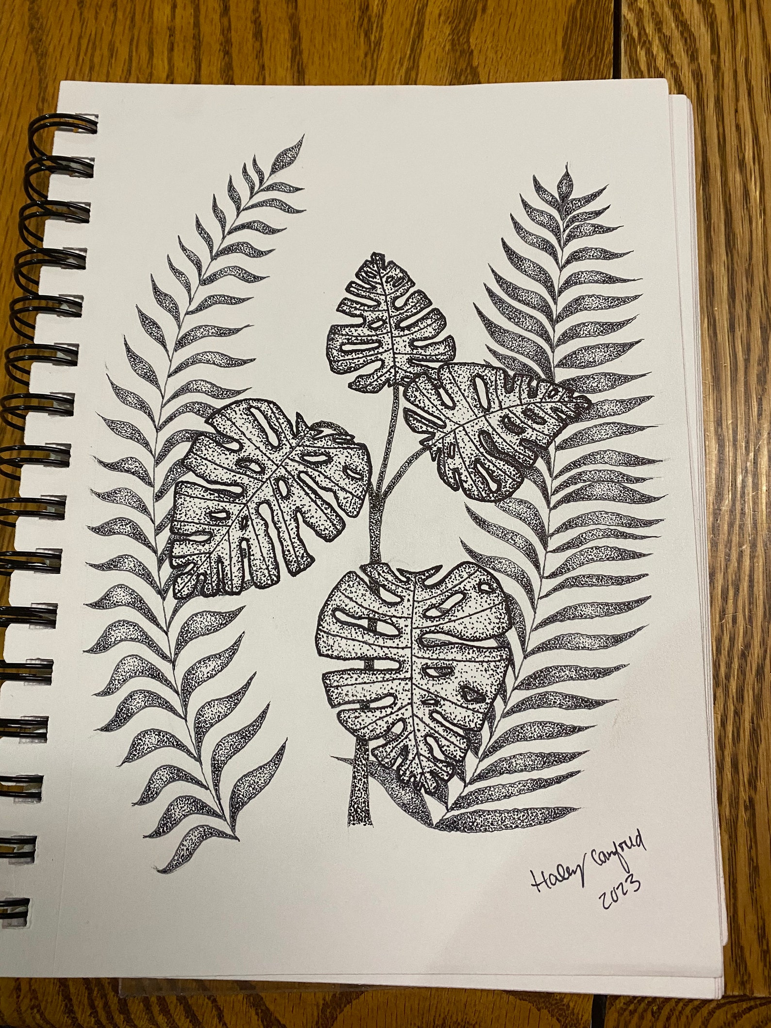 Monstera Drawing - Etsy