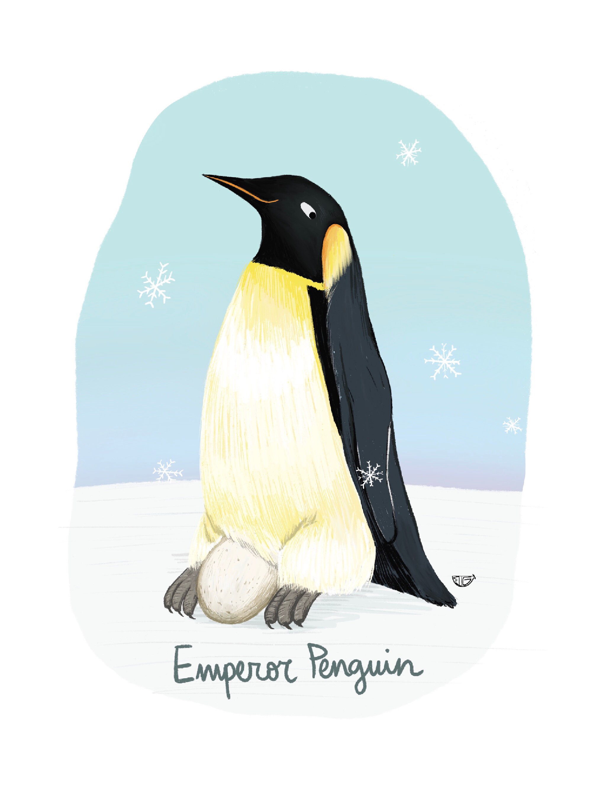 Poster "penguin", Digital Illustration Printable for Bird Lovers, Room ...