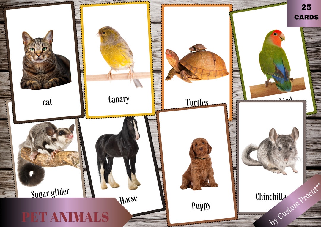 Pet Animals - 25 Cards With Real Pictures - Montessori Nomenclature ...